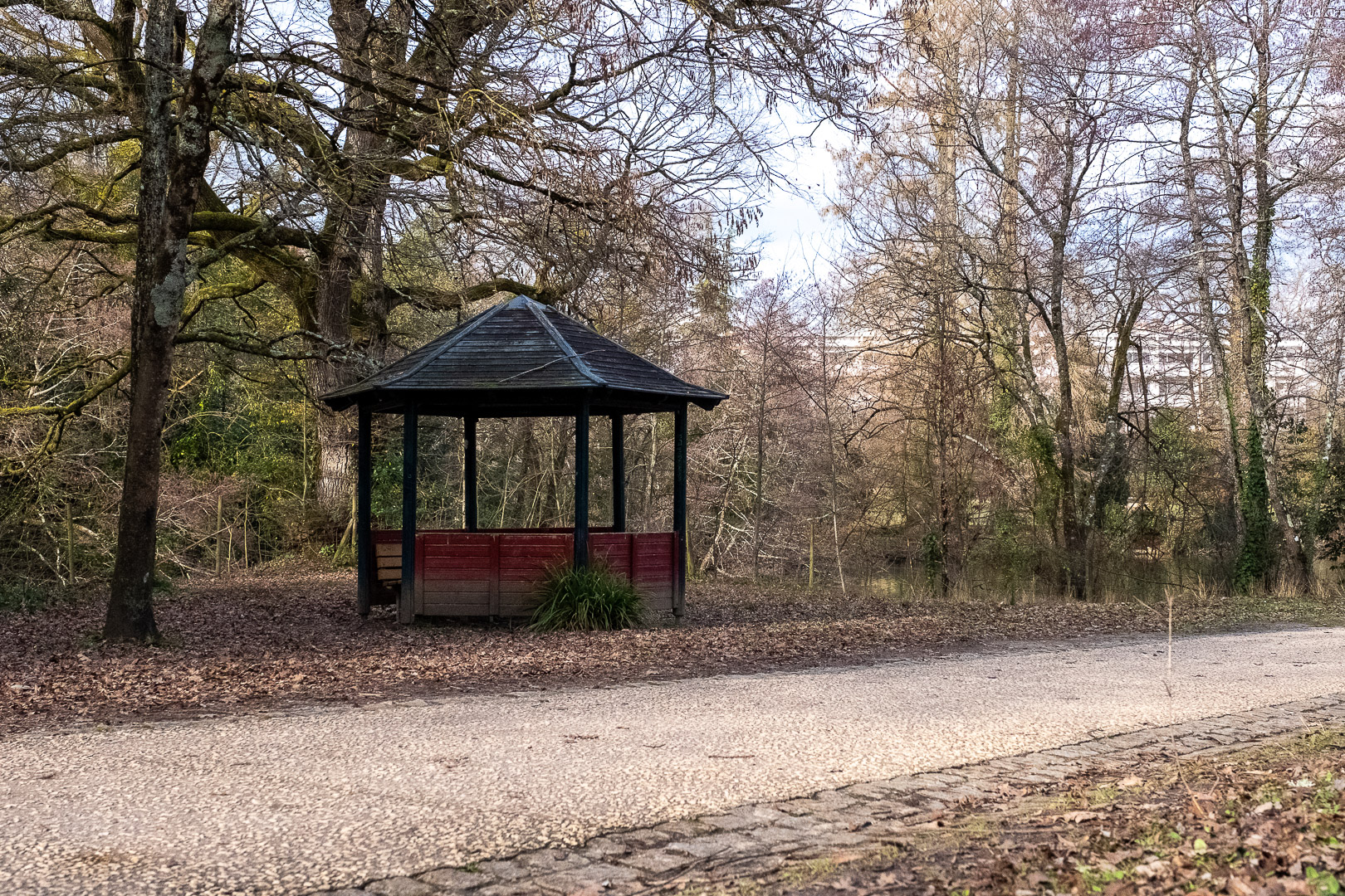 Faire des photos au parc de Bourran de Mérignac