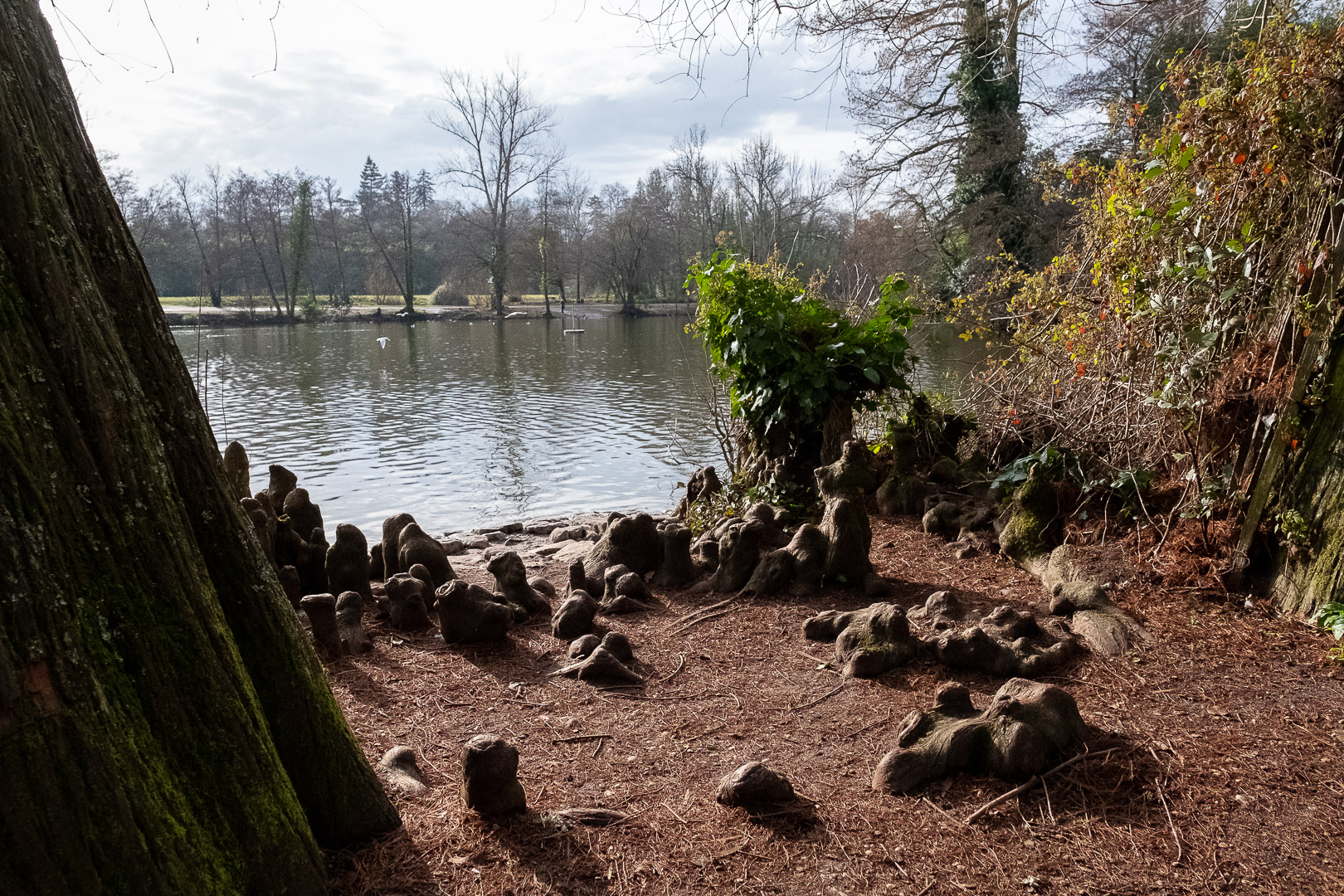 Faire des photos au parc de Bourran de Mérignac