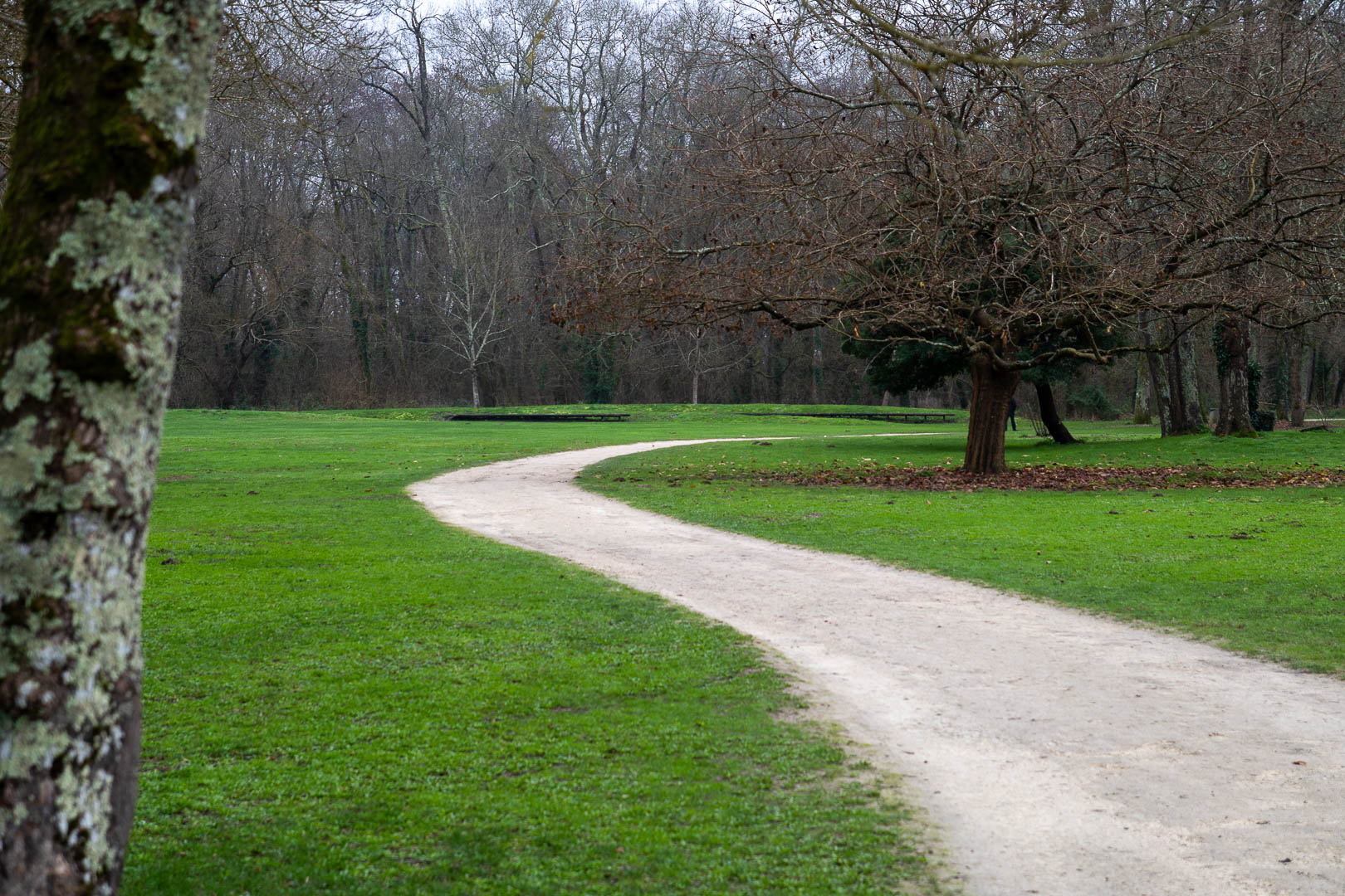 Faire des photos au parc de Majolan de Blanquefort